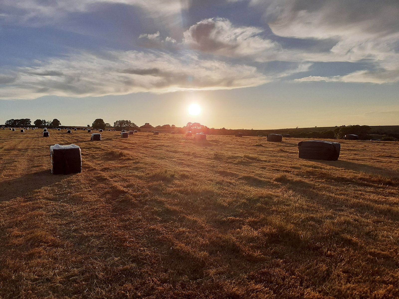 Hay and Haylage - Henley Haylage, Dorset